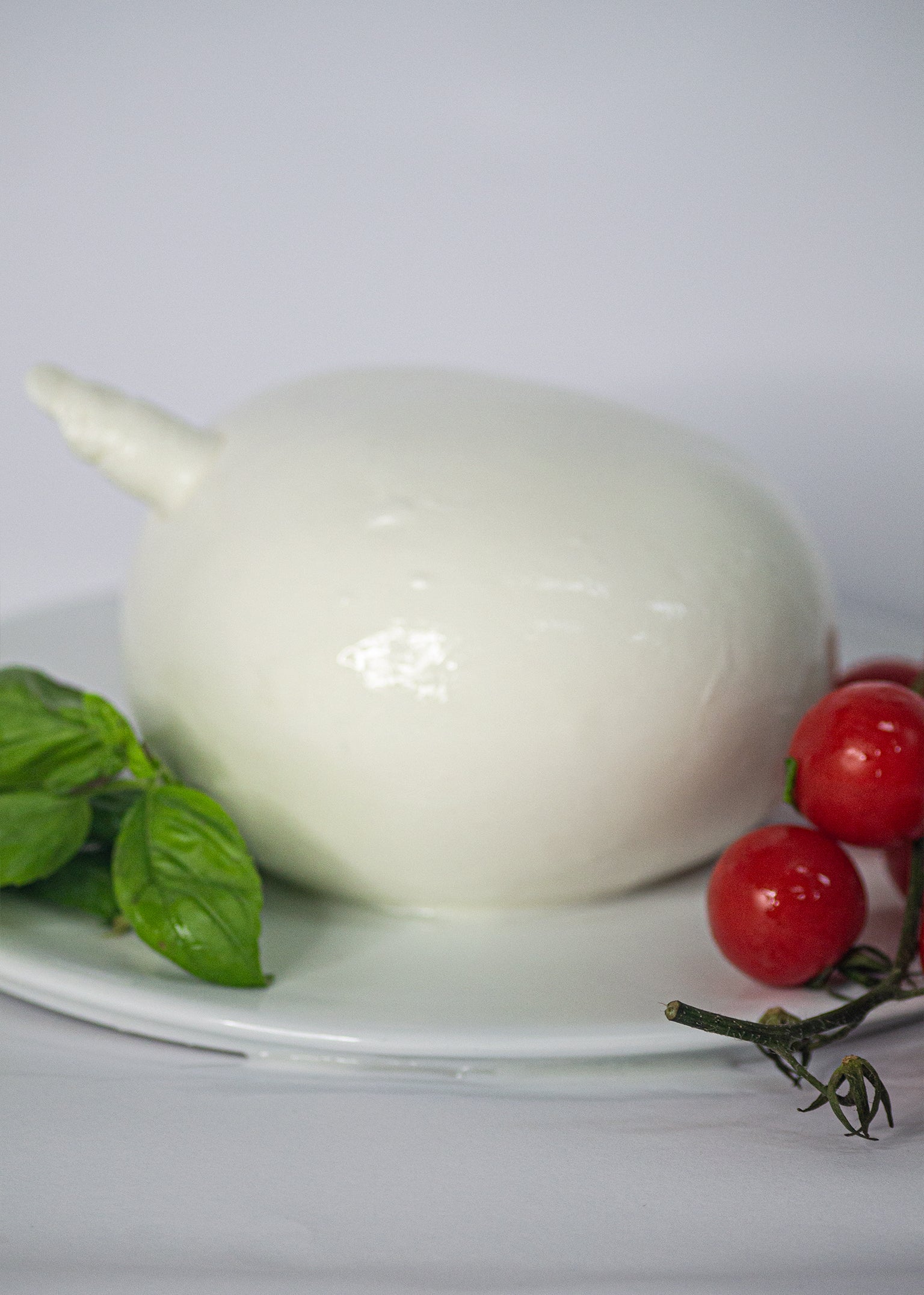Zizza Mozzarella 100% latte di bufala a km/0 – Caseificio Pennacchio